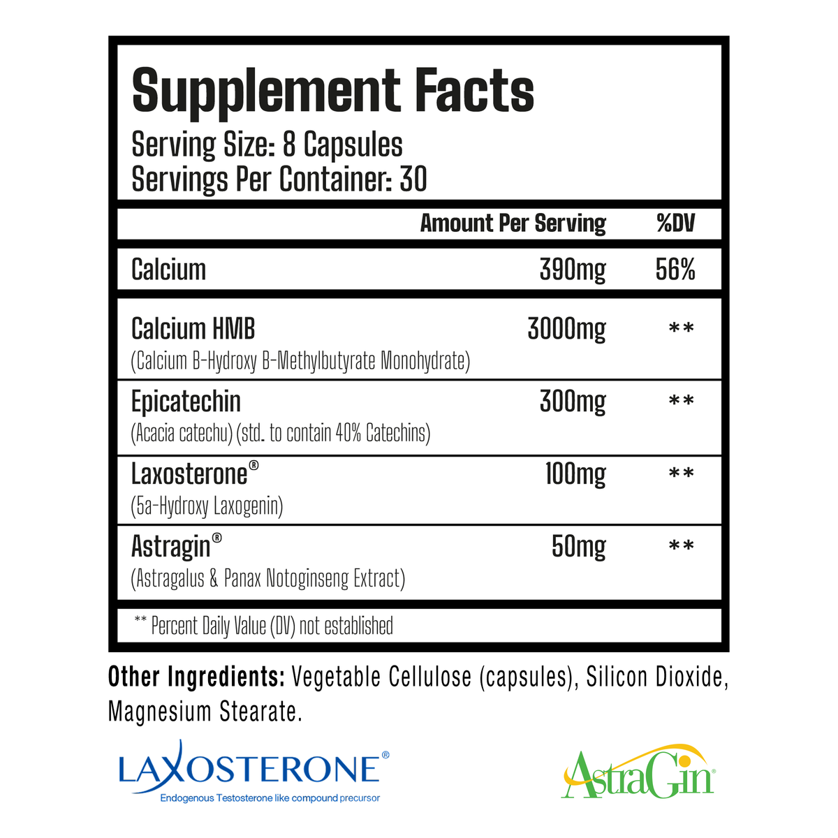 muscle_rage_seismic_panel_1200x1200.png?v=1645464607